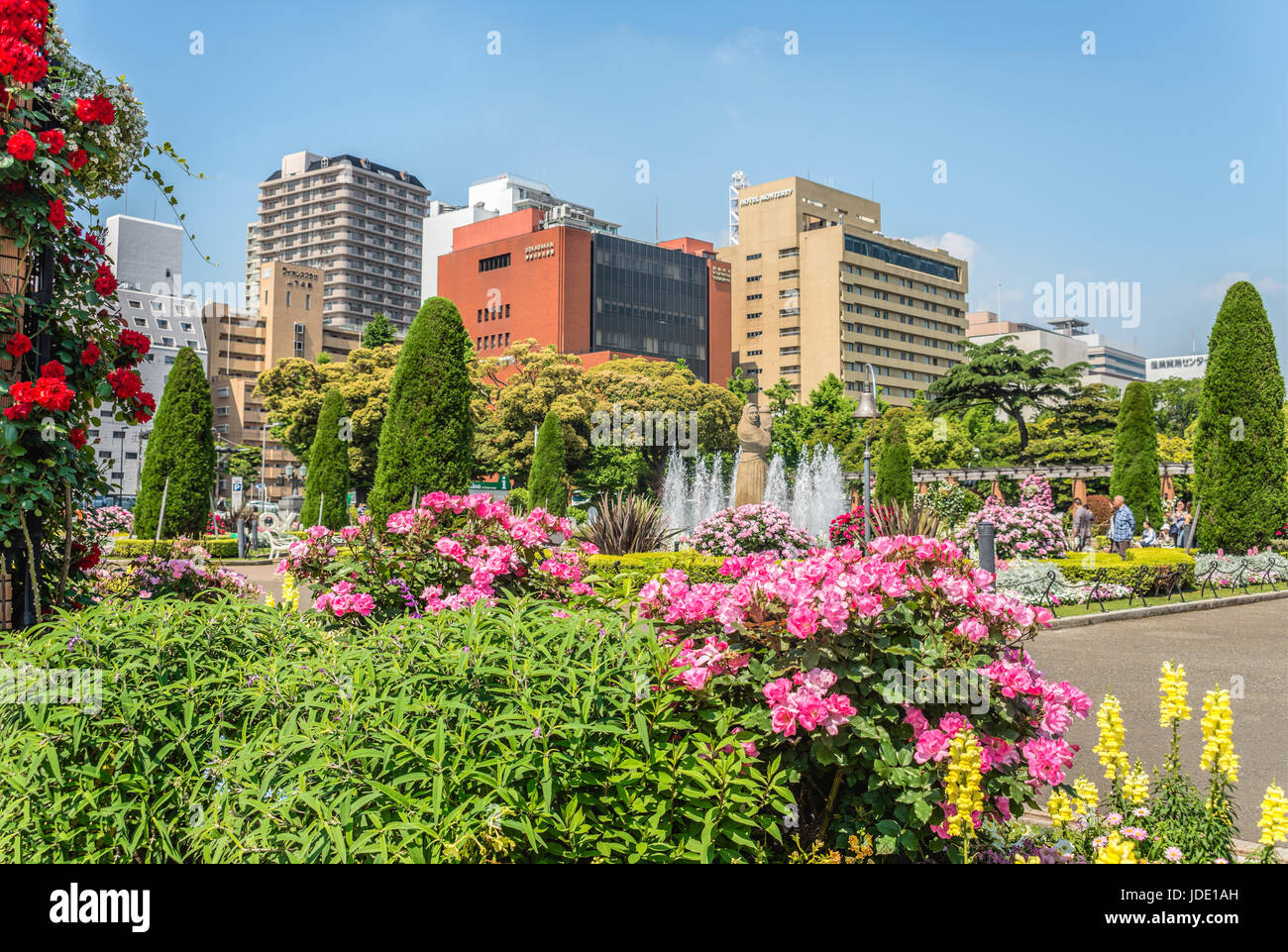 Three Rose Garden at Yamashita Park at the Yokohama waterfront during ...