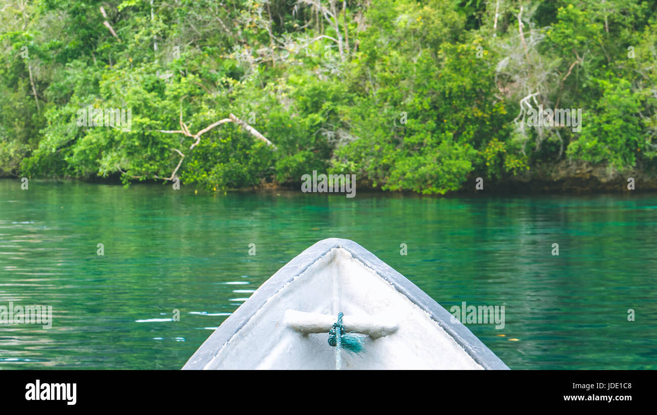 Boat approaching rocks overgrown with Palmtrees in Hidden Bay on Gam ...