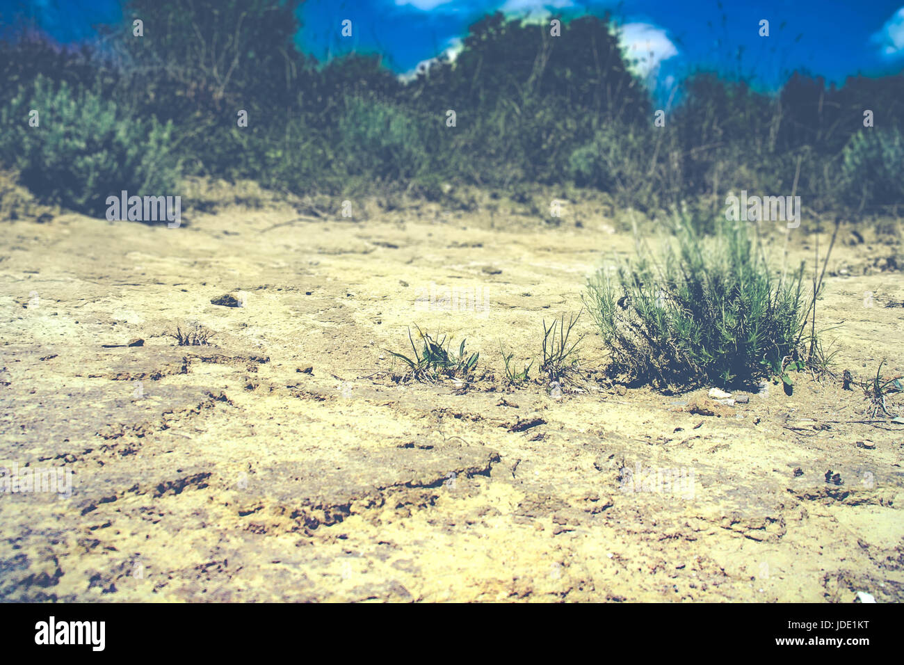 Desertification hi-res stock photography and images - Alamy