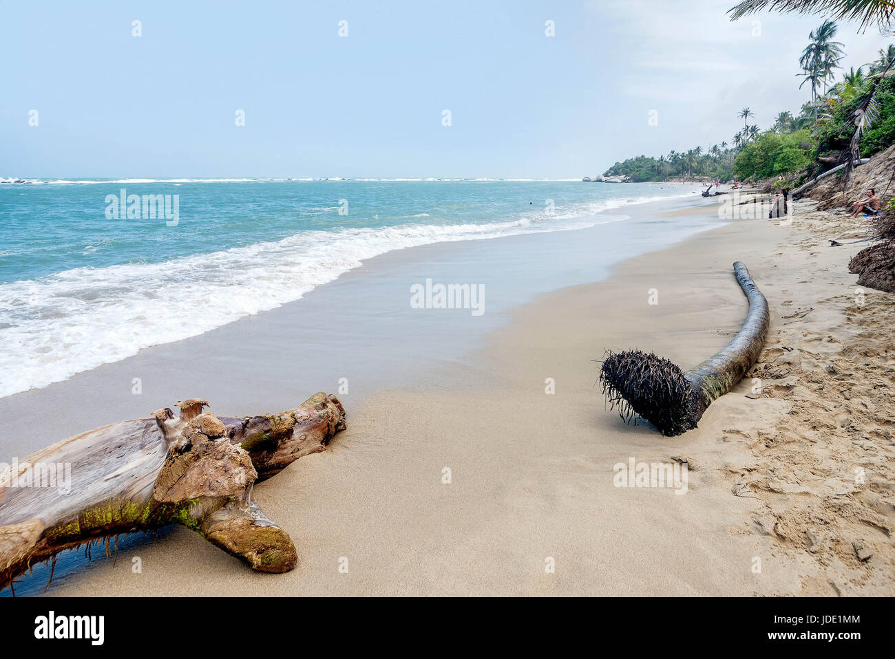 Beach at Tayrona National Park Santa Marta in Colombia Stock Photo - Alamy