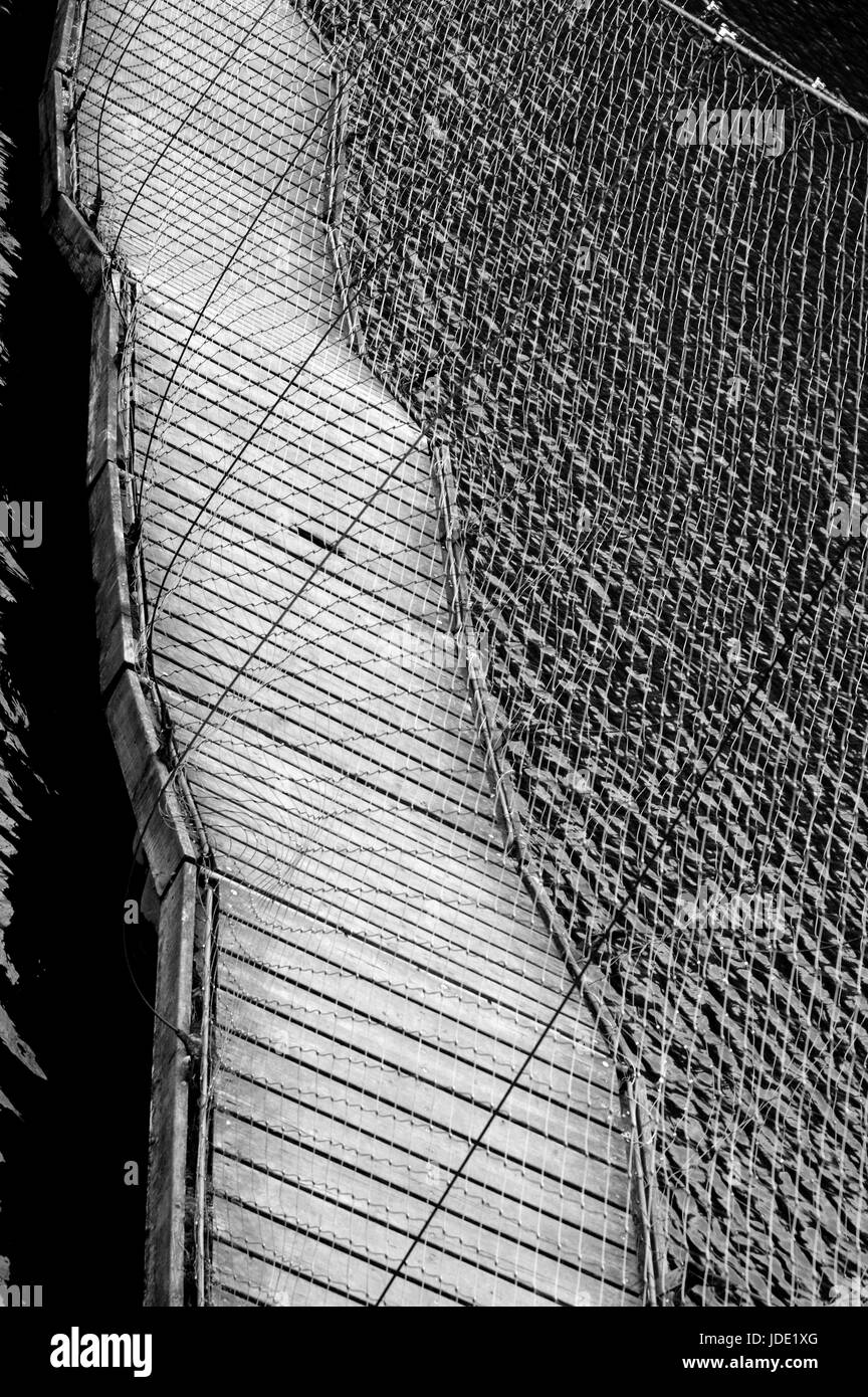 Footbridge, Bridge, Pathway, Wooden construction Stock Photo - Alamy