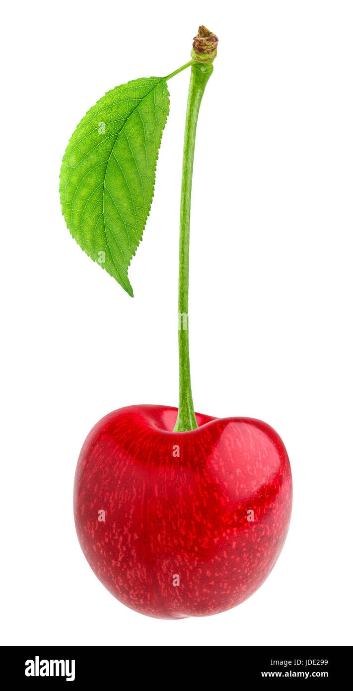 Cherry isolated. One red cherry with leaf isolated on white background ...