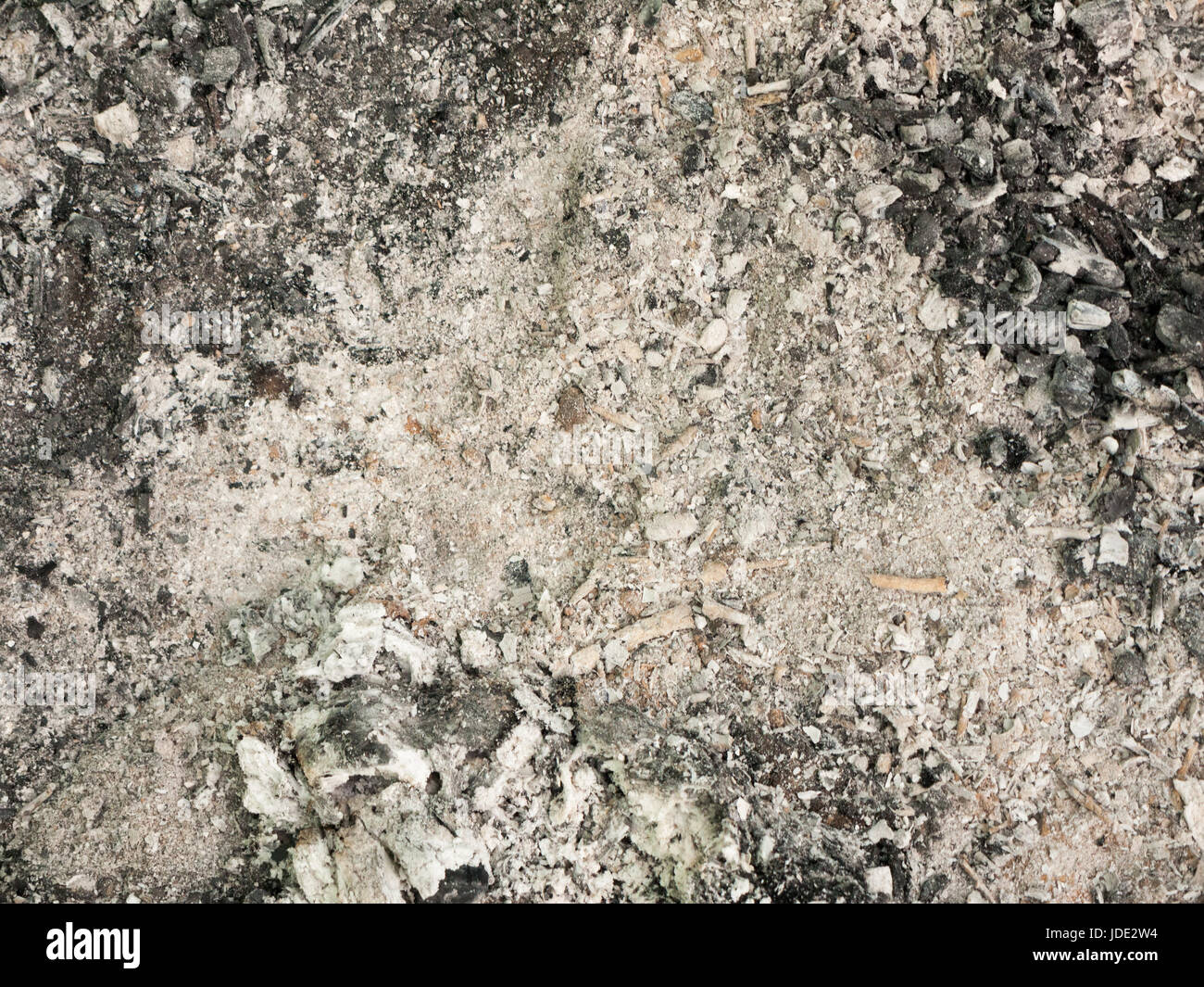 ash from a campfire outside on the ground Stock Photo - Alamy