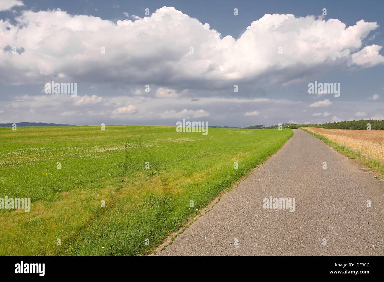 Narrow road through agricultural fields Stock Photo - Alamy