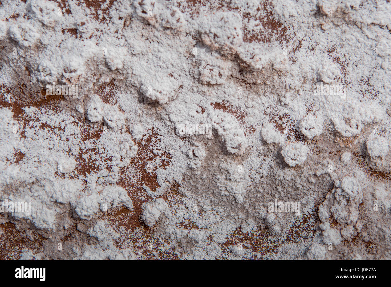 Dry leech hi-res stock photography and images - Alamy