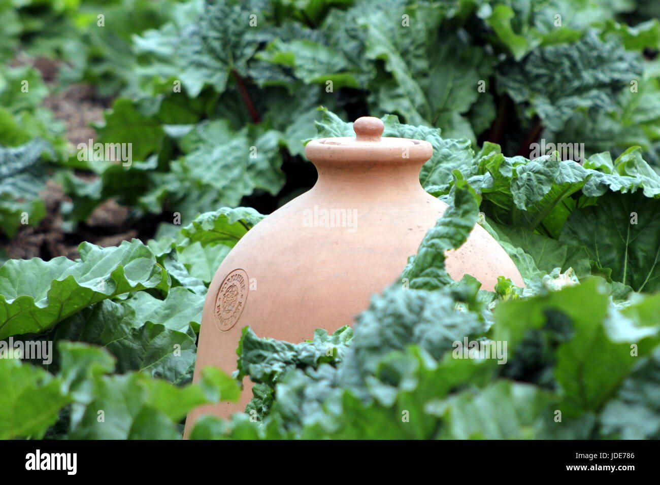 Large ceramic terracotta earthenware pot made by Yorkshire Flowerpots ...