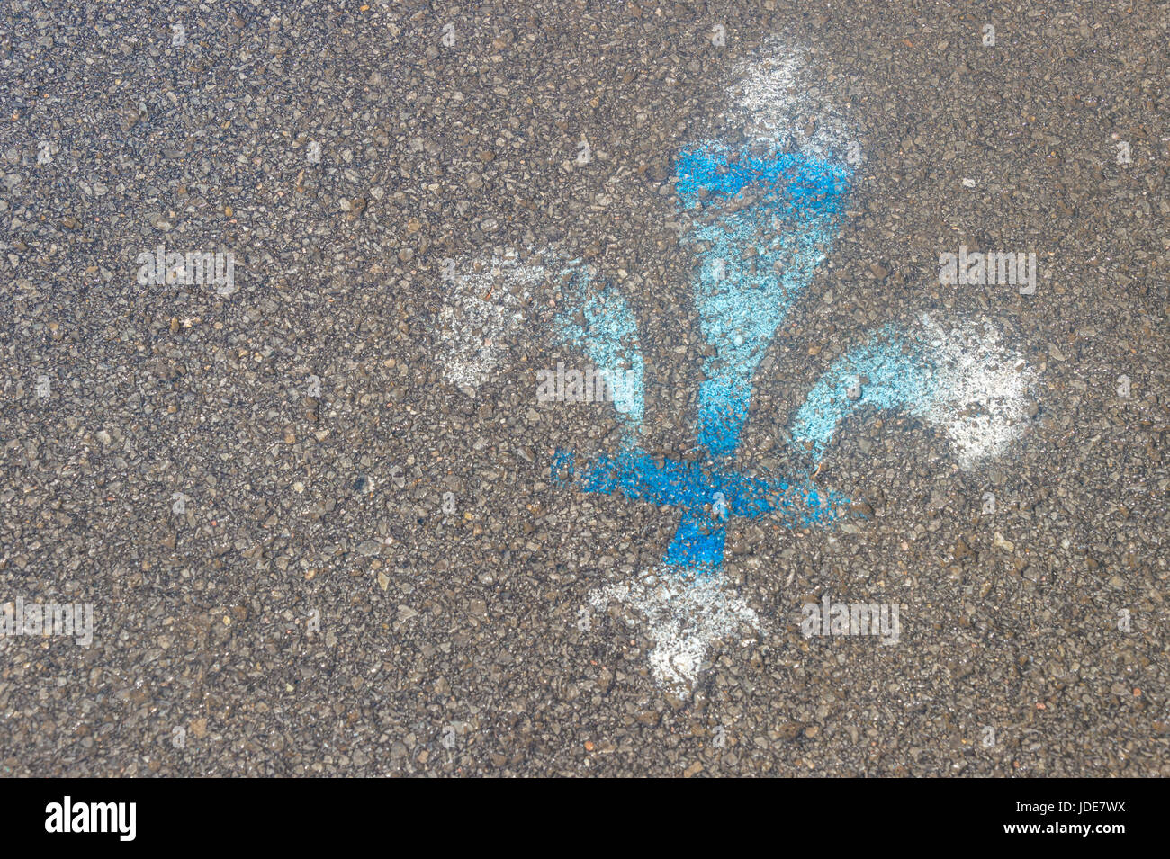 White and blue fleur-de-lis painted on asphalt. Fleur-de-lis is the ...