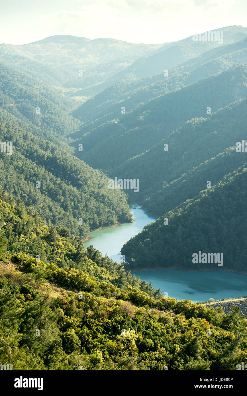 River from top view and between the mountains with pine trees Stock ...