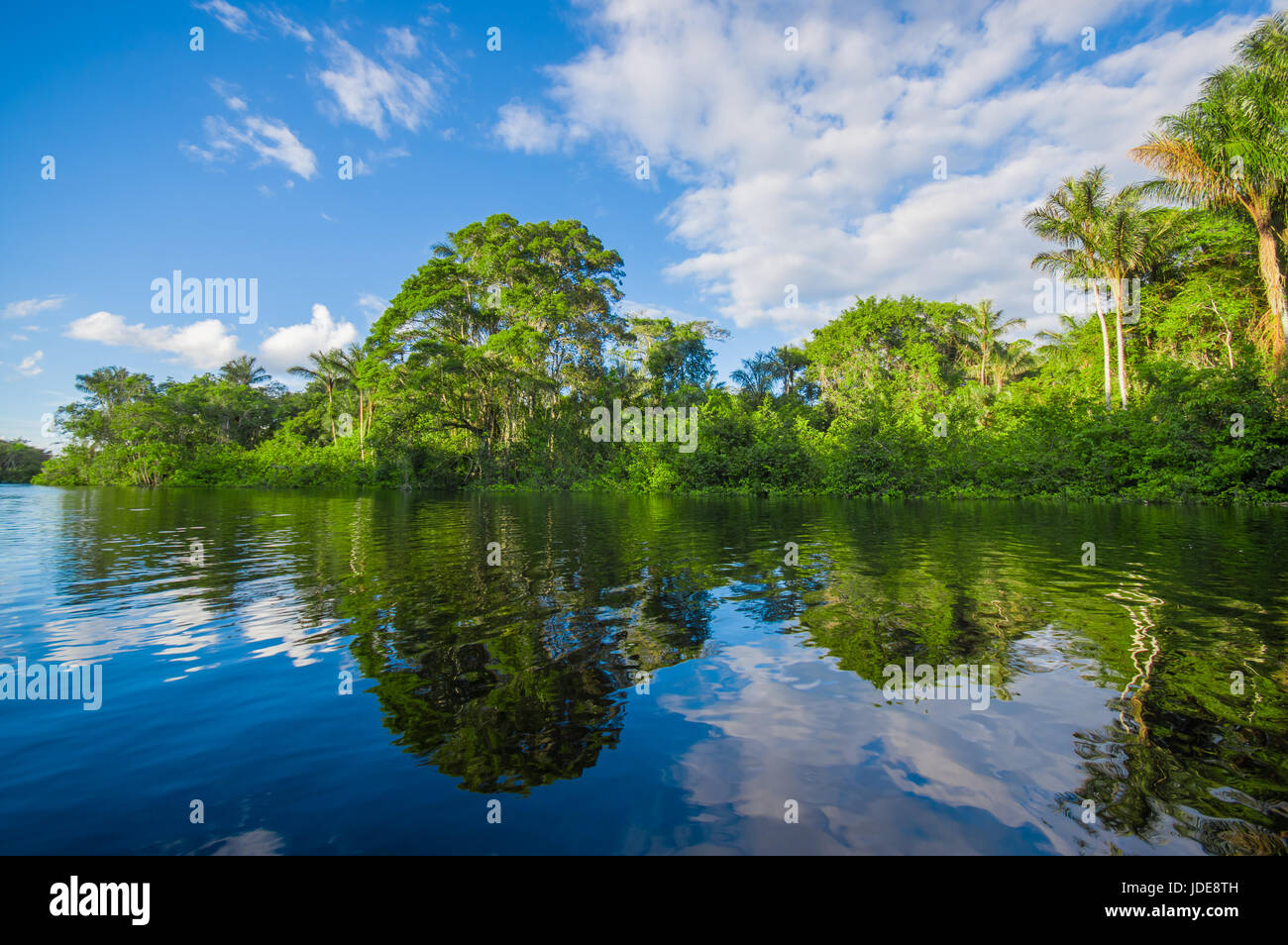 Cuyabeno river, rainforest, terrain of Siona indigenous people ...