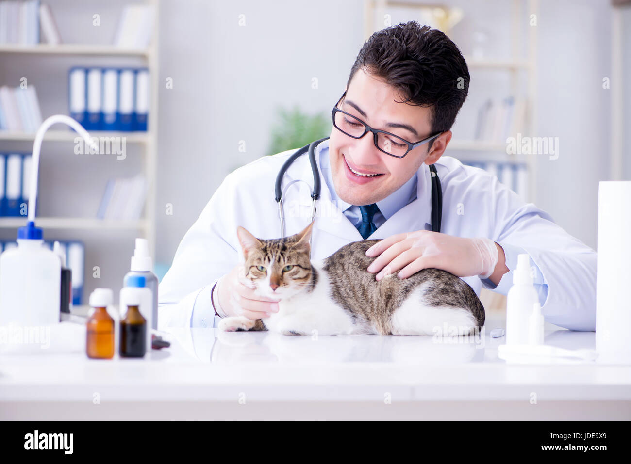 Cat visiting vet for regular check up Stock Photo - Alamy