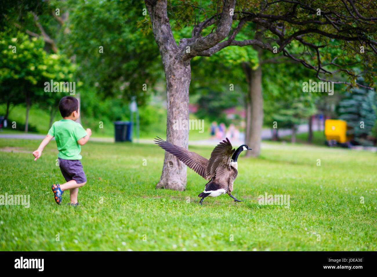 Nature Center Park in Laval Quebec Canada Stock Photo - Alamy