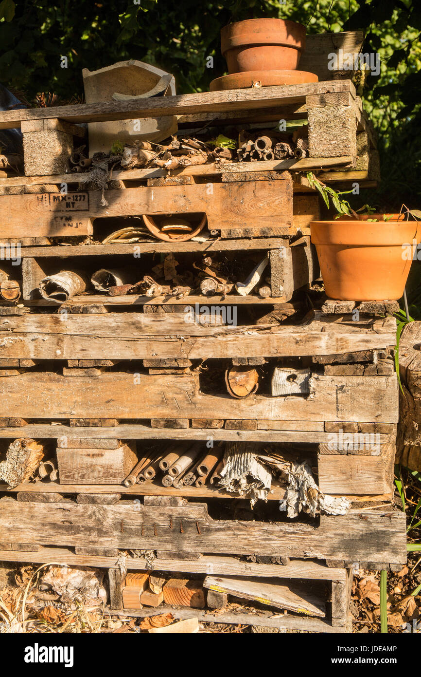 Insect hotel pallet hi-res stock photography and images - Alamy