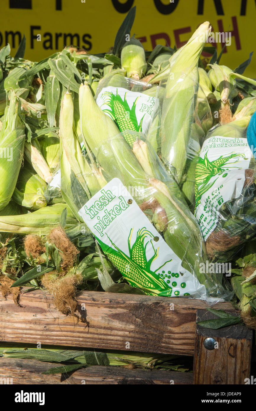 Stack of sweet corn for sale at a Farmers Market in Issaquah ...