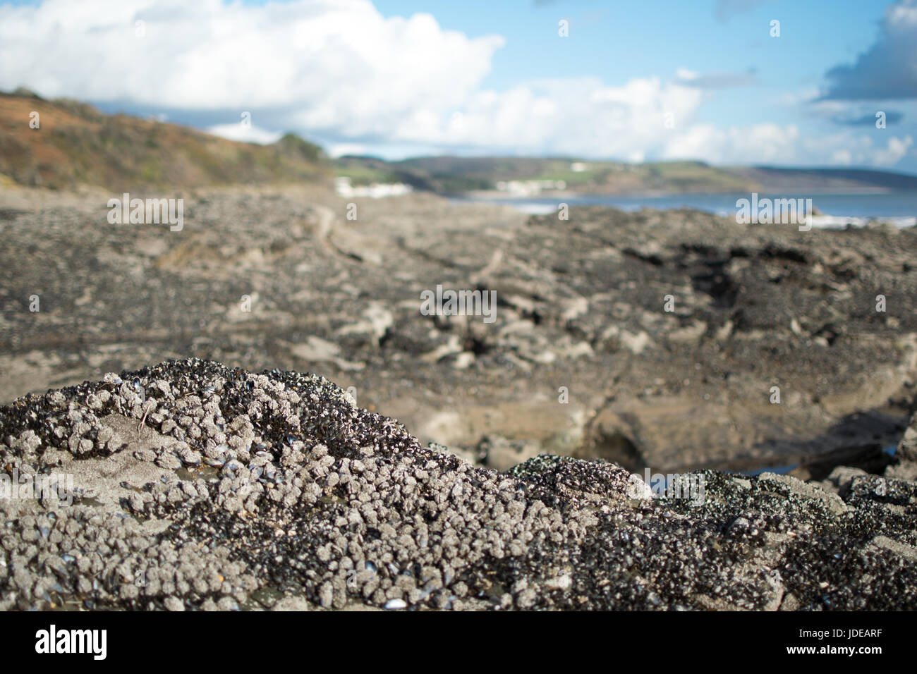 Amroth pembrokeshire wales hi-res stock photography and images - Alamy