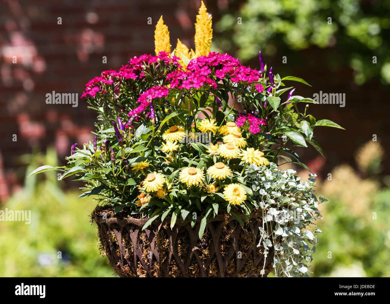 Sights of Summer Stock Photo - Alamy
