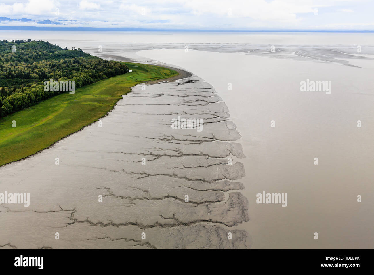 Pattern of tidal mud flats contrasts with green of forests on coastline ...