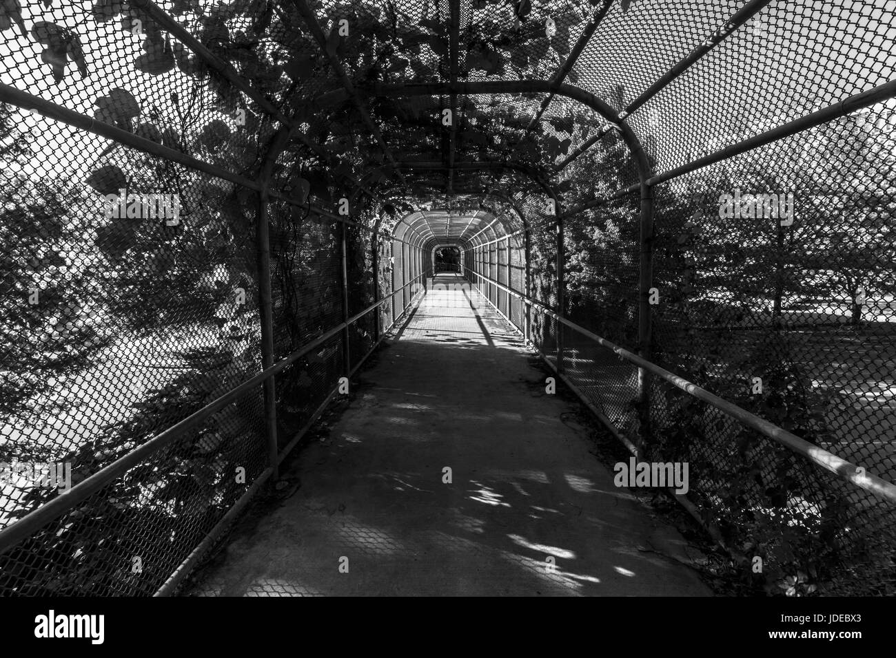 a pedestrian bridge creating shadows and designs Stock Photo - Alamy