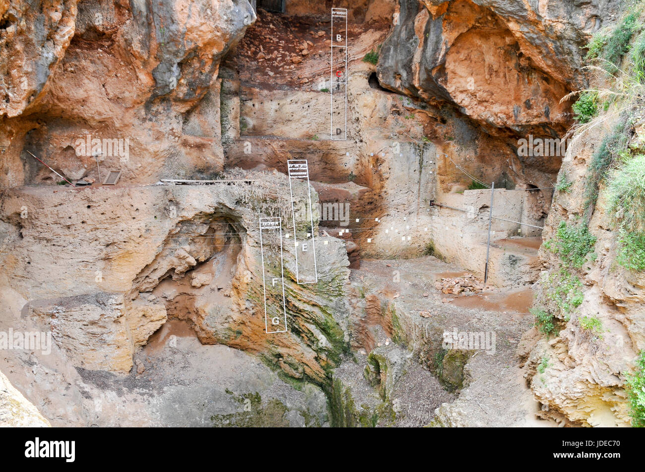Neanderthal model hi-res stock photography and images - Alamy