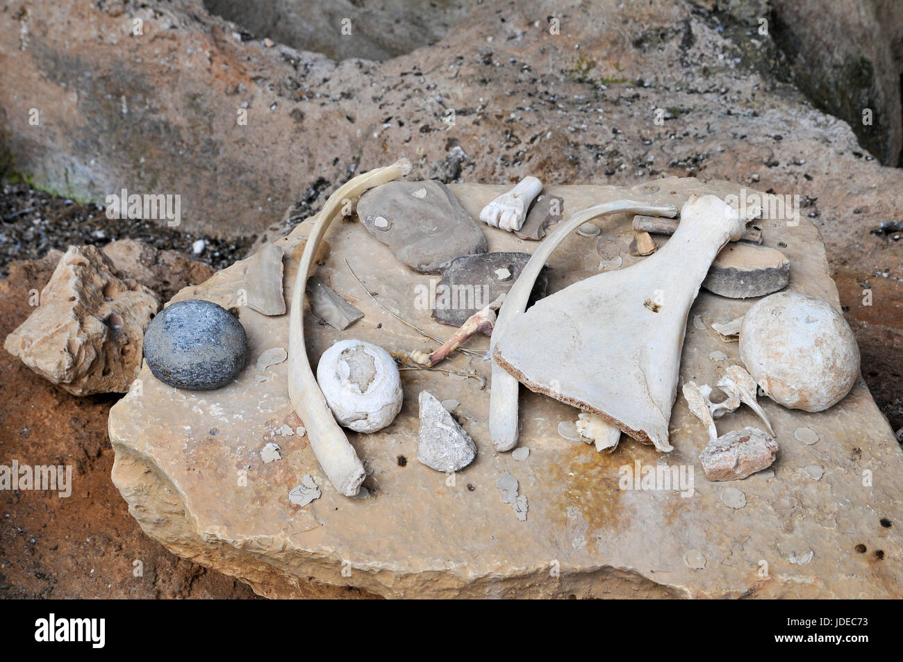 Homo Erectus Shelter