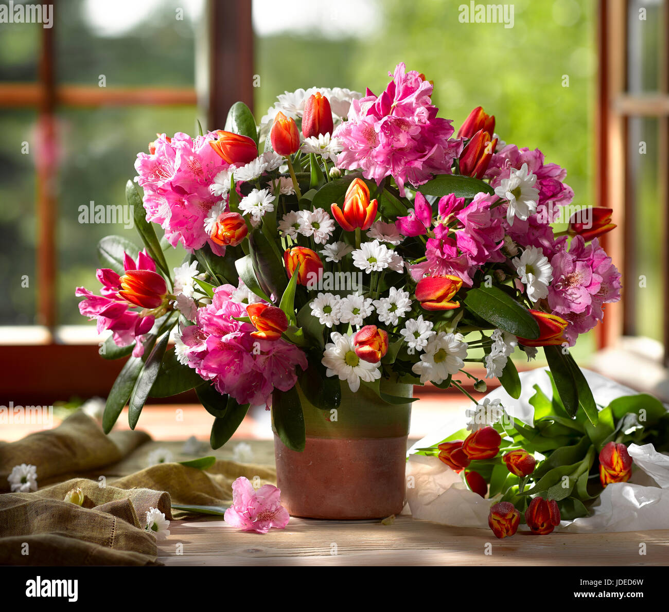 Bouquet of flowers with azaleas, tulips and daisies Stock Photo - Alamy