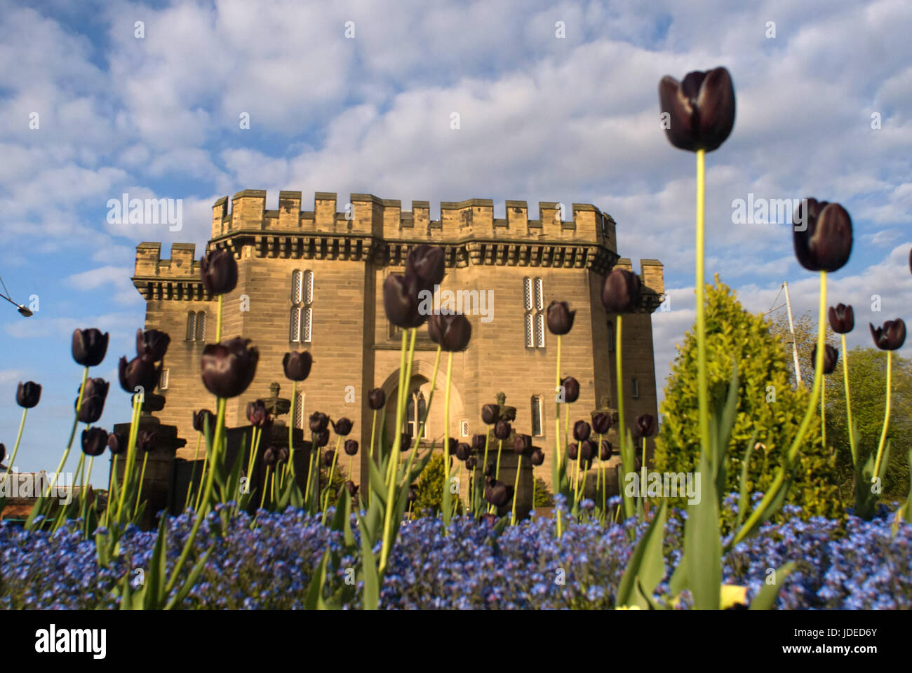 View of Courthouse from Carlisle Park, Morpeth, Northumberland Stock ...