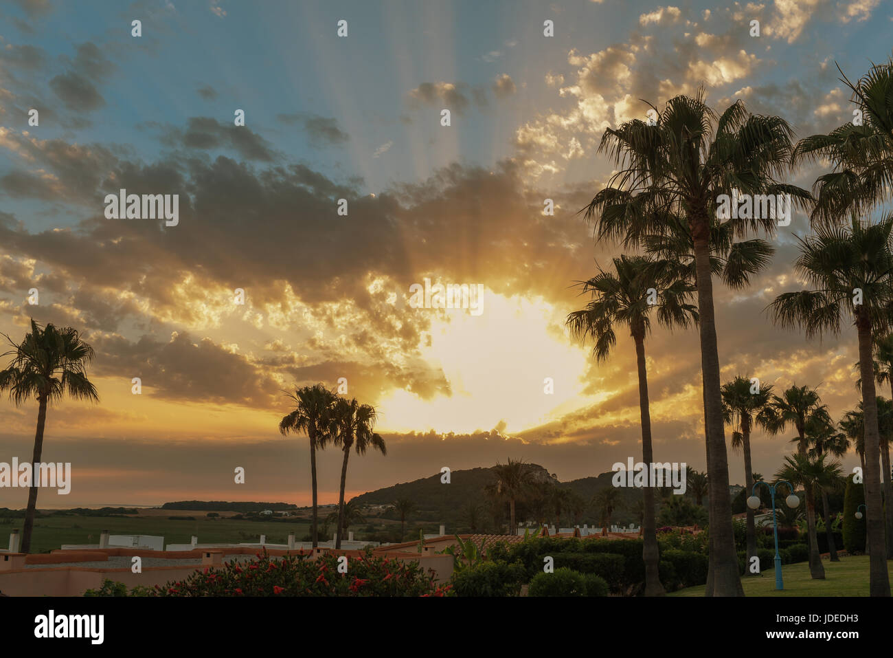 Balearic Sunset and Palm Trees, Son Bou, Menorca Stock Photo - Alamy