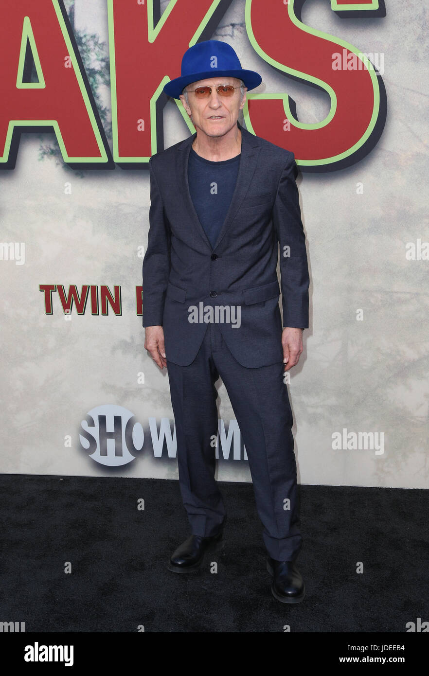 Premiere of Showtime's 'Twin Peaks' at The Theatre at Ace Hotel ...
