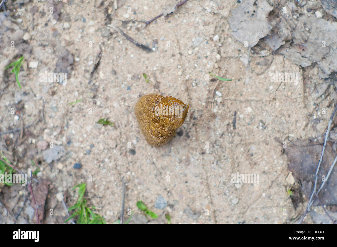 Poo with a view hi-res stock photography and images - Alamy