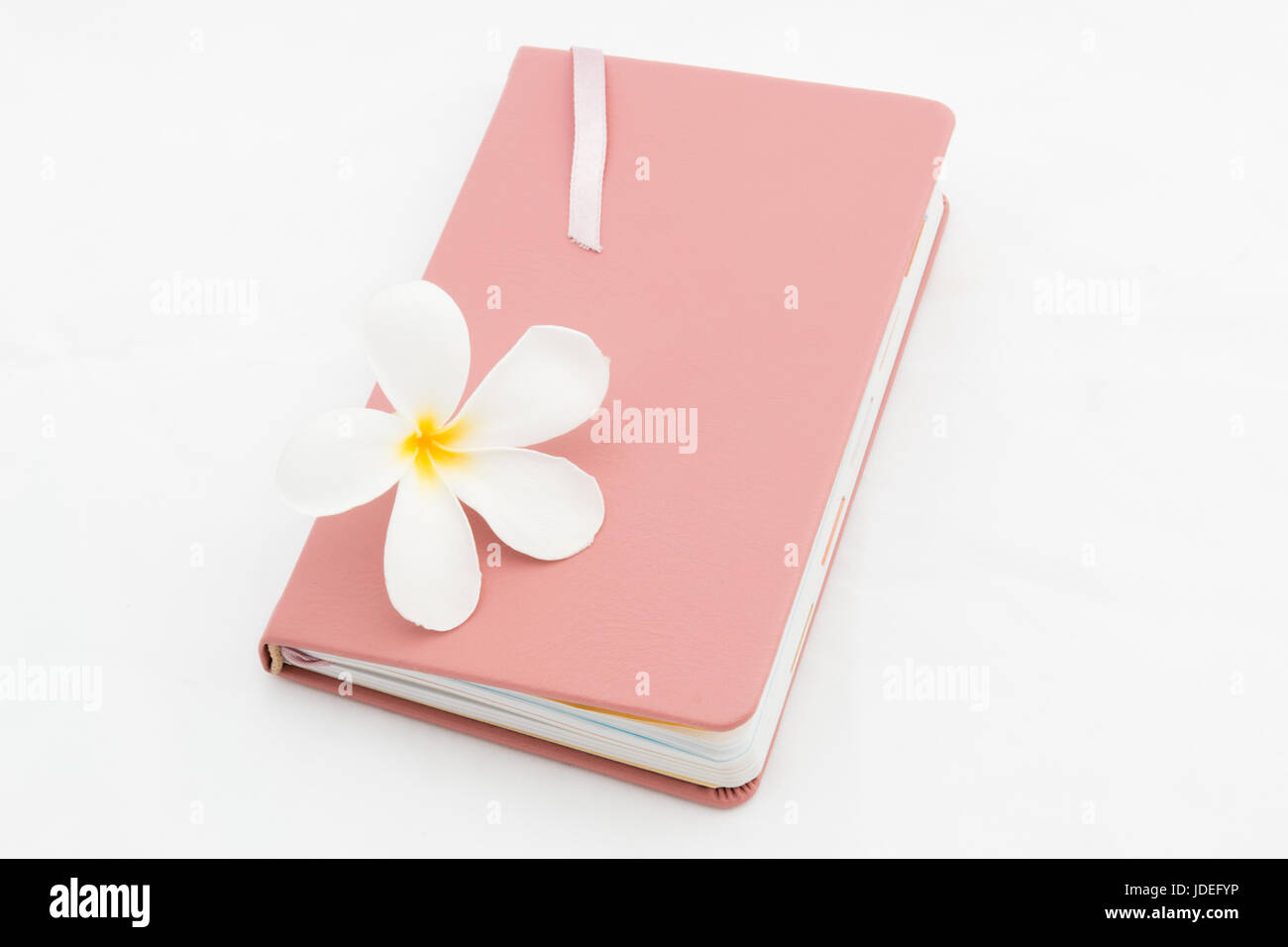 Leather diary with pink plumeria flower white isolate Stock Photo - Alamy