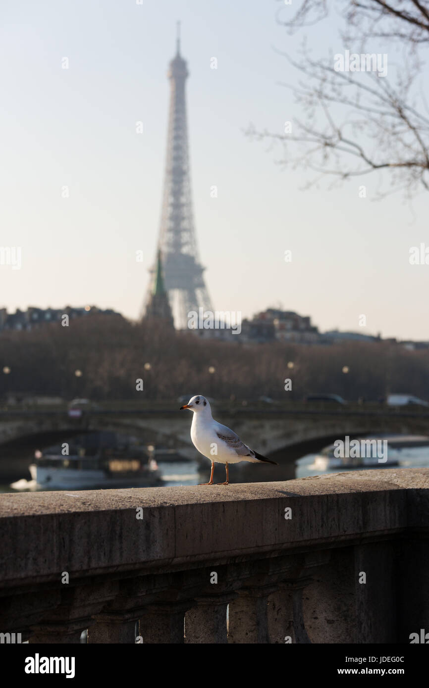 Dove tower hi-res stock photography and images - Alamy