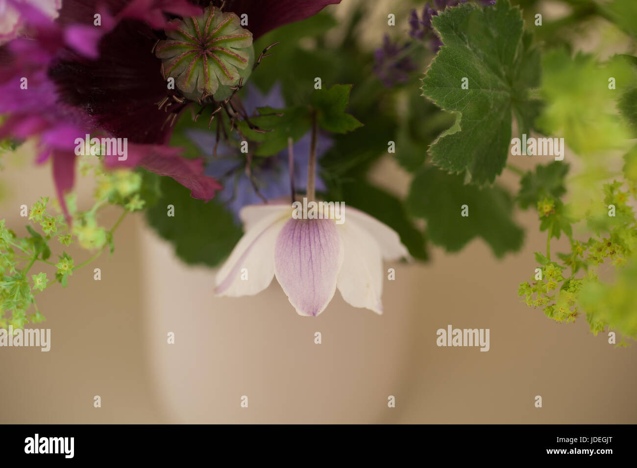 Anemone in Summer posy Stock Photo - Alamy