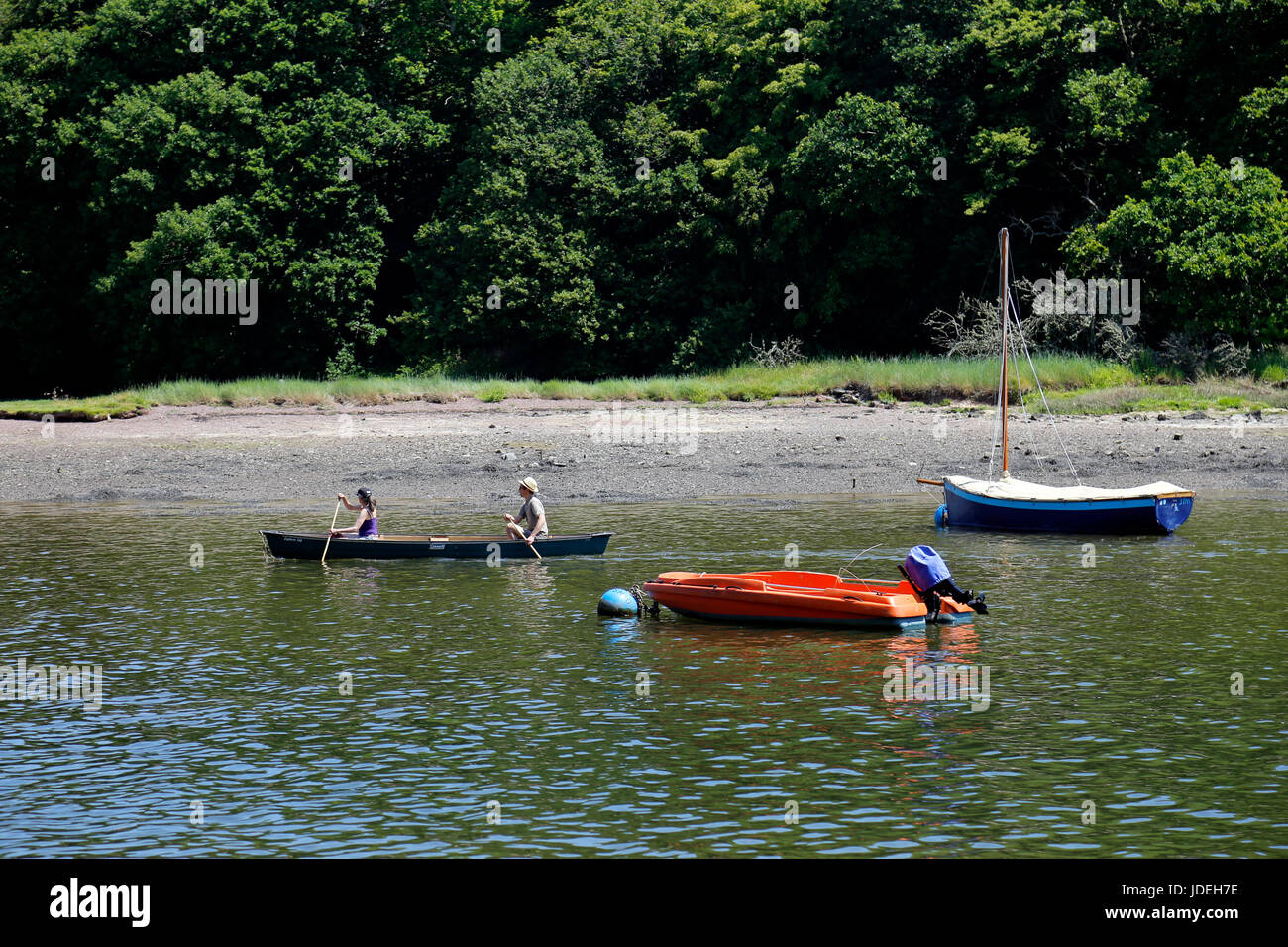 A creek on River Dart at Stoke Gabriel Stock Photo - Alamy