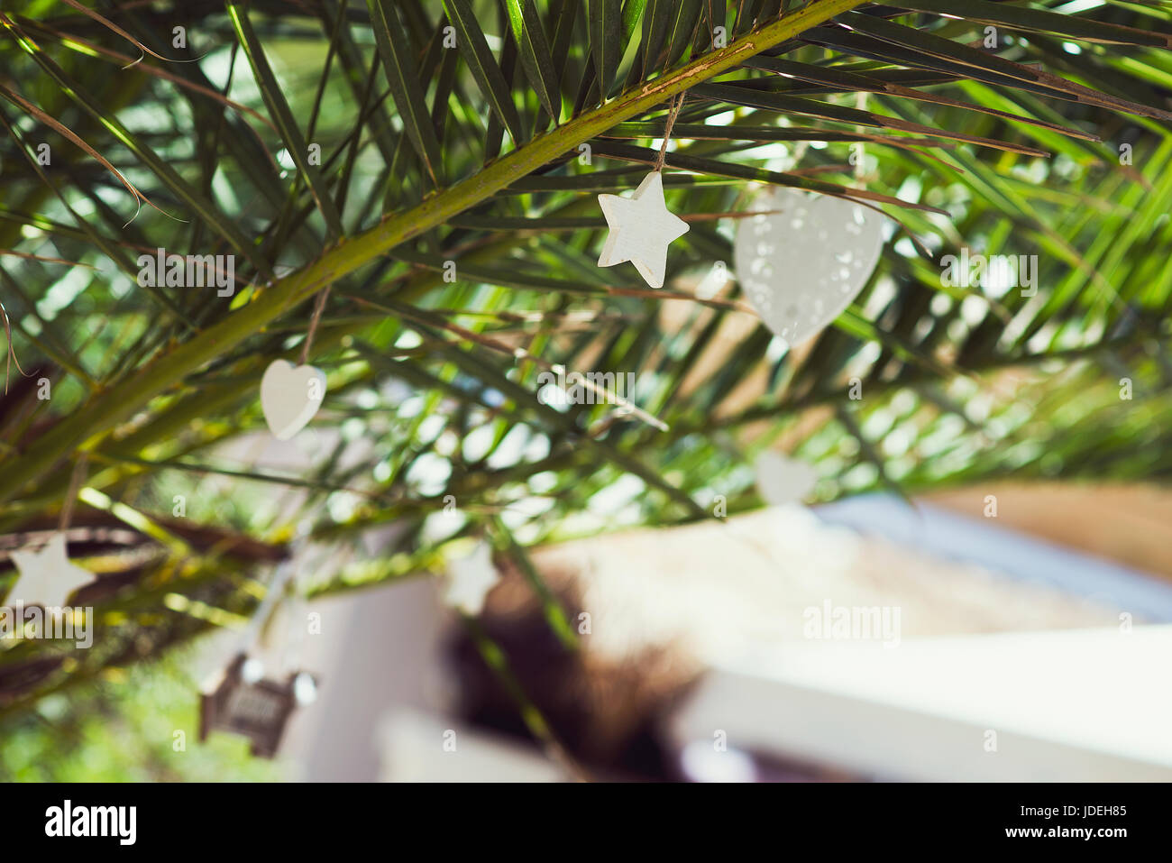 Stars and hearts in palm tree Stock Photo - Alamy
