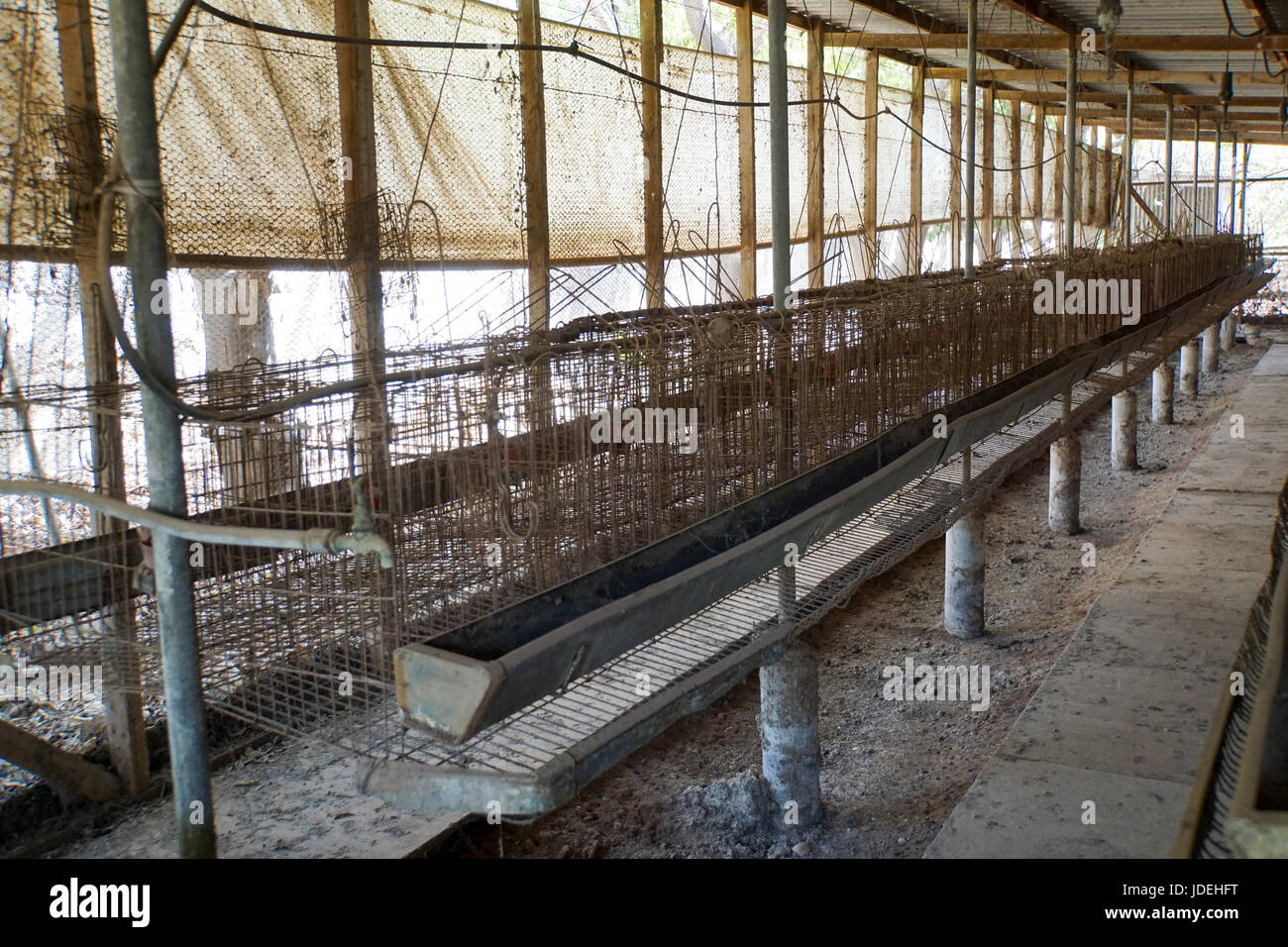 Empty battery coop. The practice of battery poultry farming involves ...