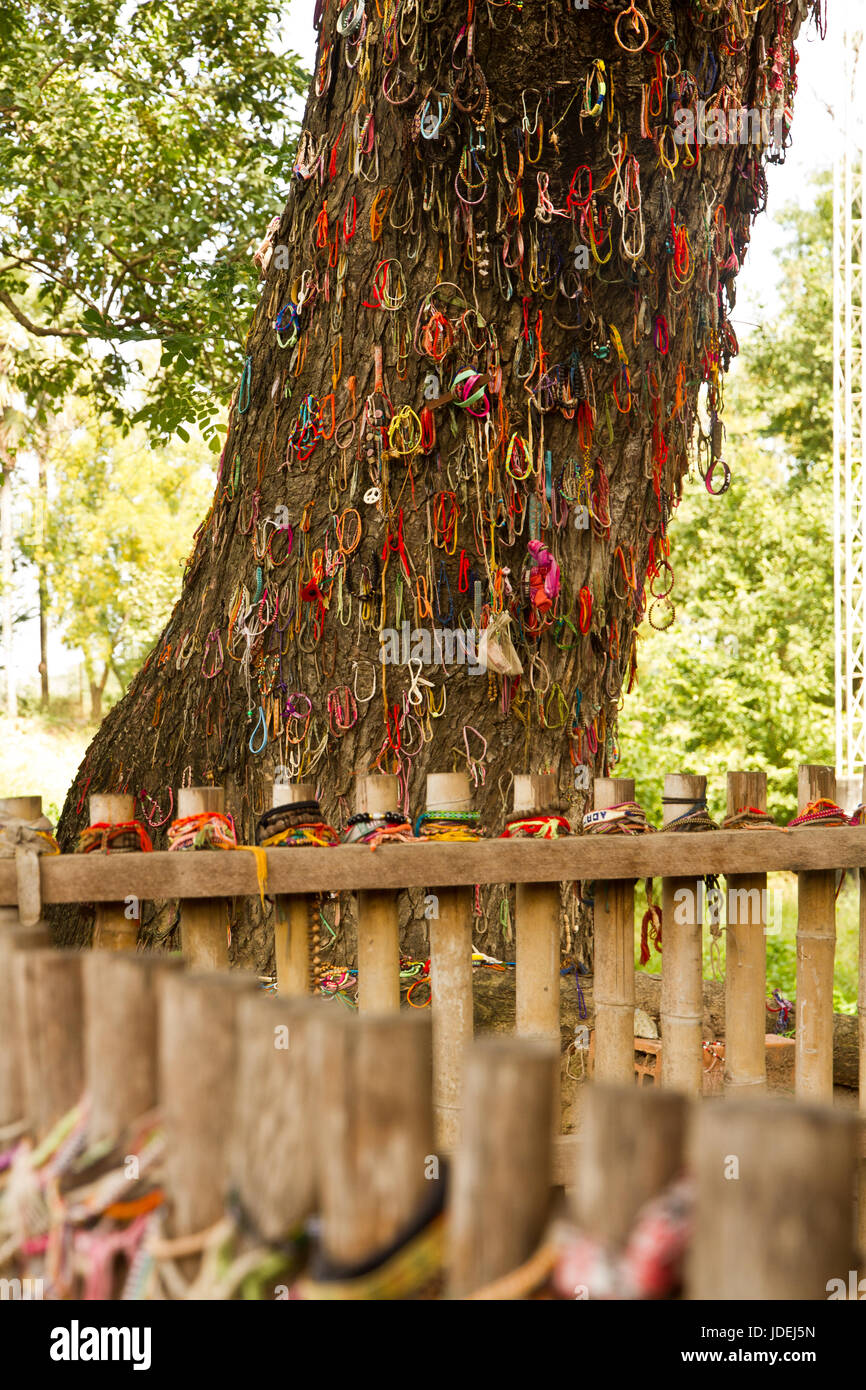 Killing tree against which executioners beat children. Choeung Ek ...