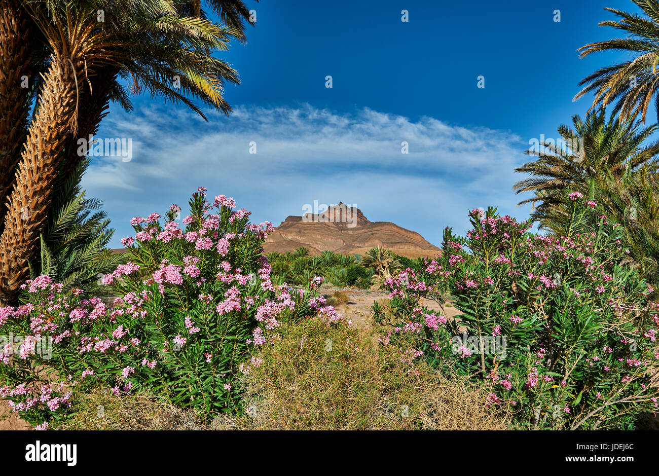 Jbel morocco hi-res stock photography and images - Alamy