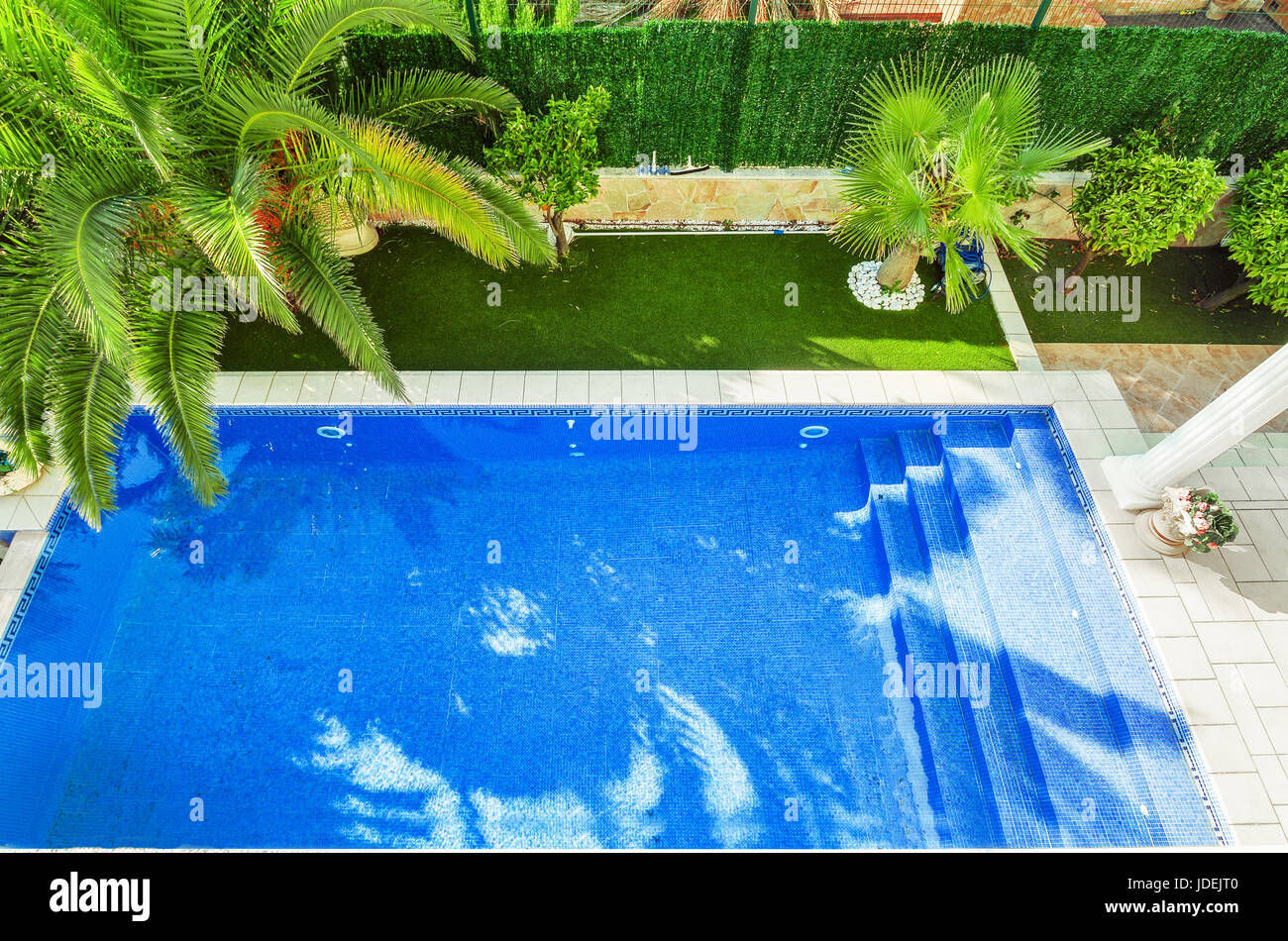 Swimming pool view from above. Clear water, with a beautiful palm tree ...
