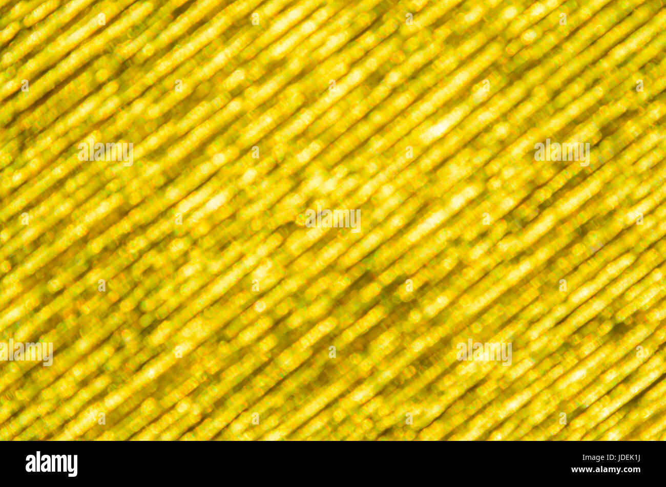 Gold Texture of Embossed Paper. Gold Paper Texture Background Stock ...