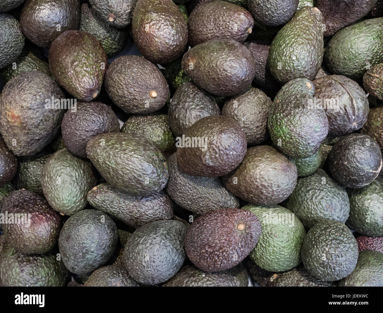 Haas avocado hi-res stock photography and images - Alamy