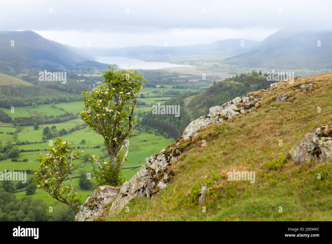 Catbells lake district hi-res stock photography and images - Alamy