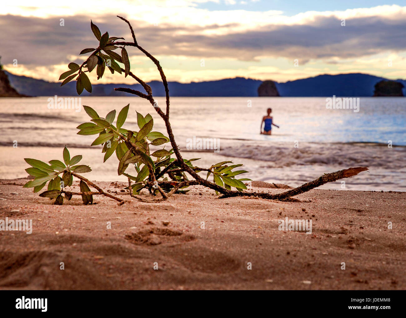 Simple beach scene hi-res stock photography and images - Alamy