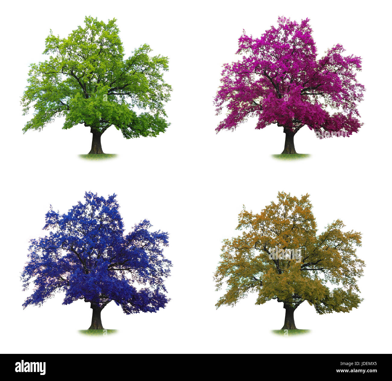 abstract set of colorful trees isolated on white background Stock Photo ...