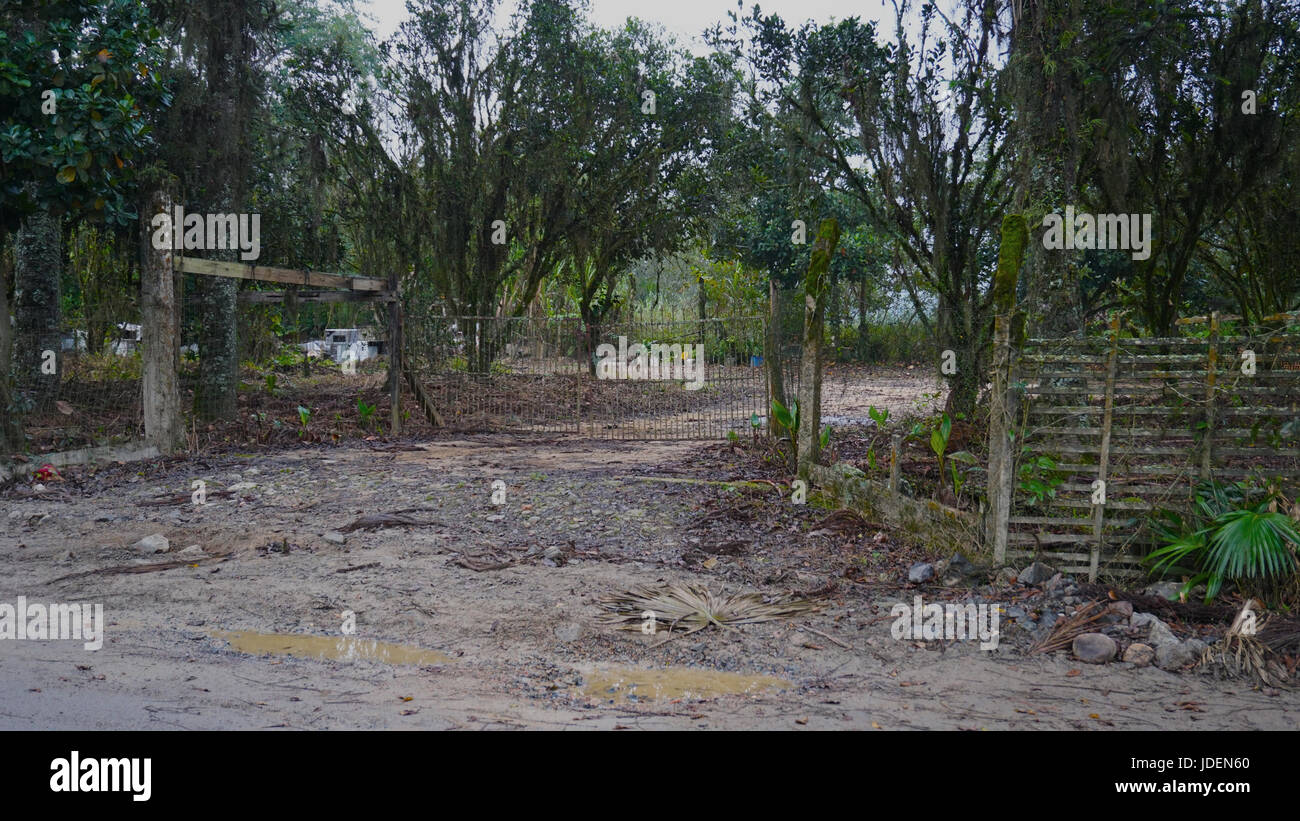 Creepy yard entrance Stock Photo - Alamy