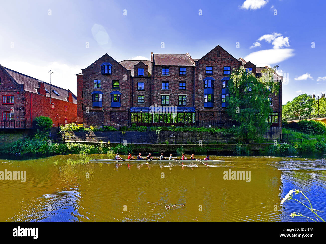 Durham University womens rowing team practising Stock Photo - Alamy