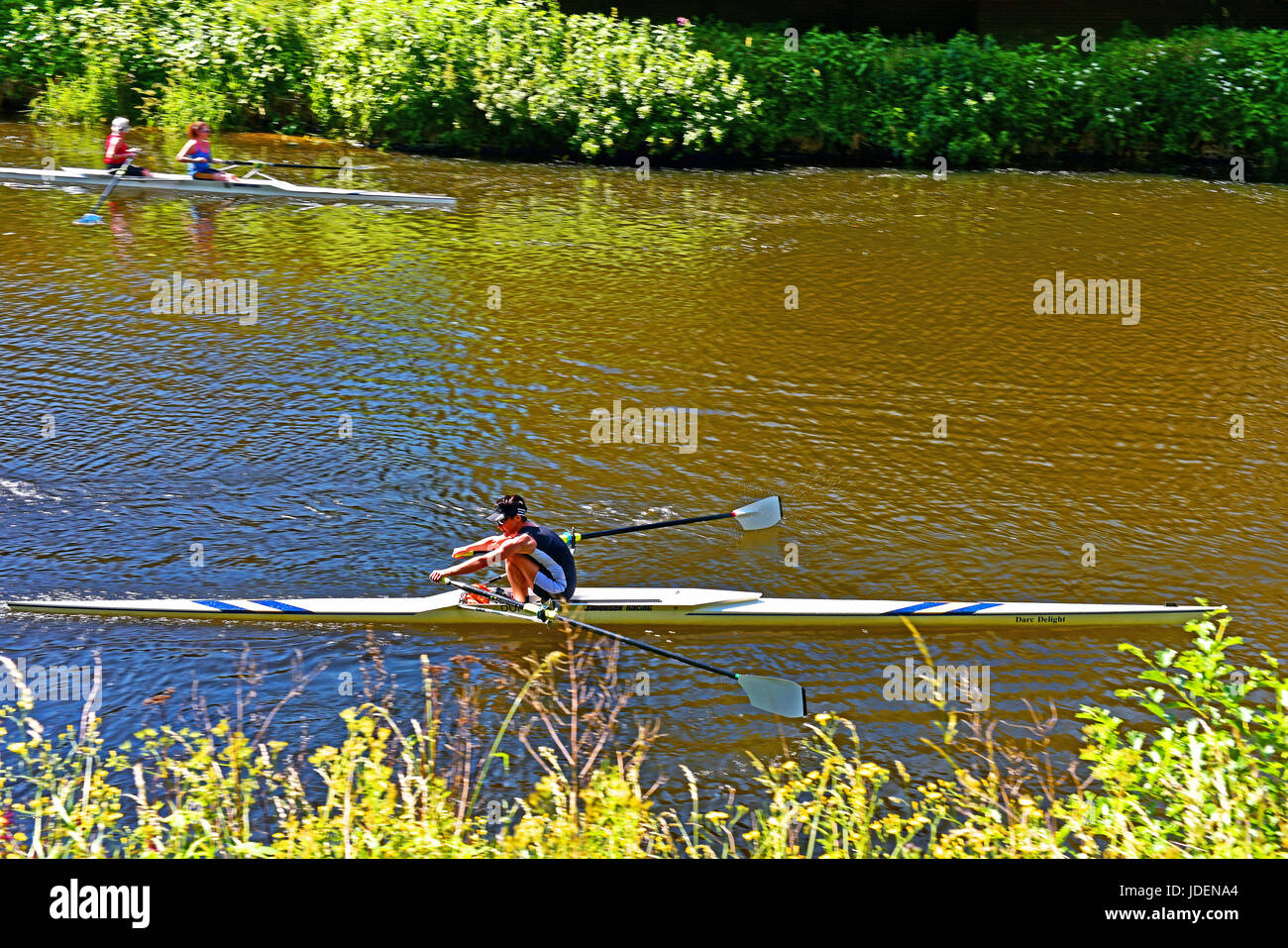 Durham University womens rowing team practising Stock Photo - Alamy