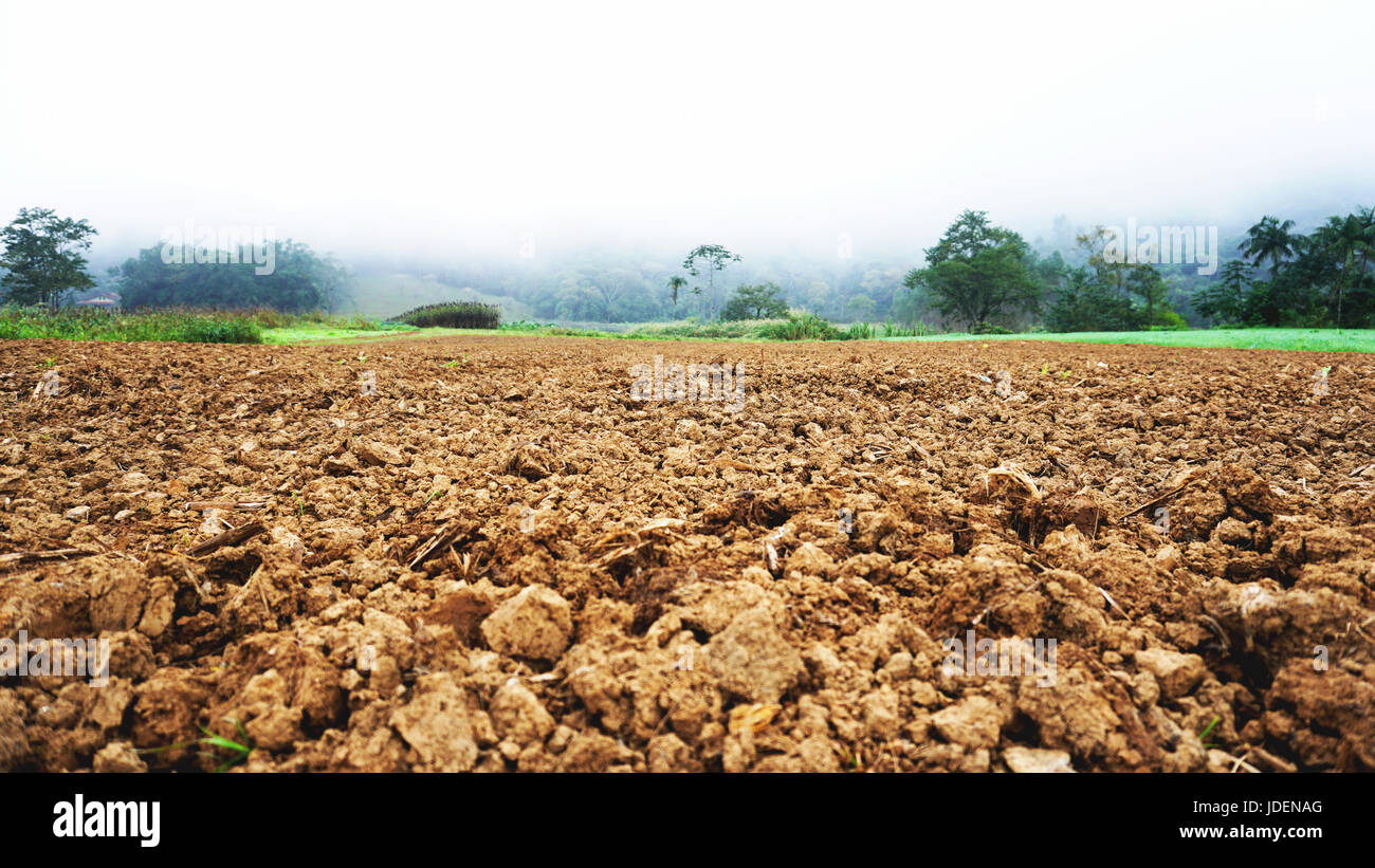 Agriculture field agricultural hi-res stock photography and images - Alamy