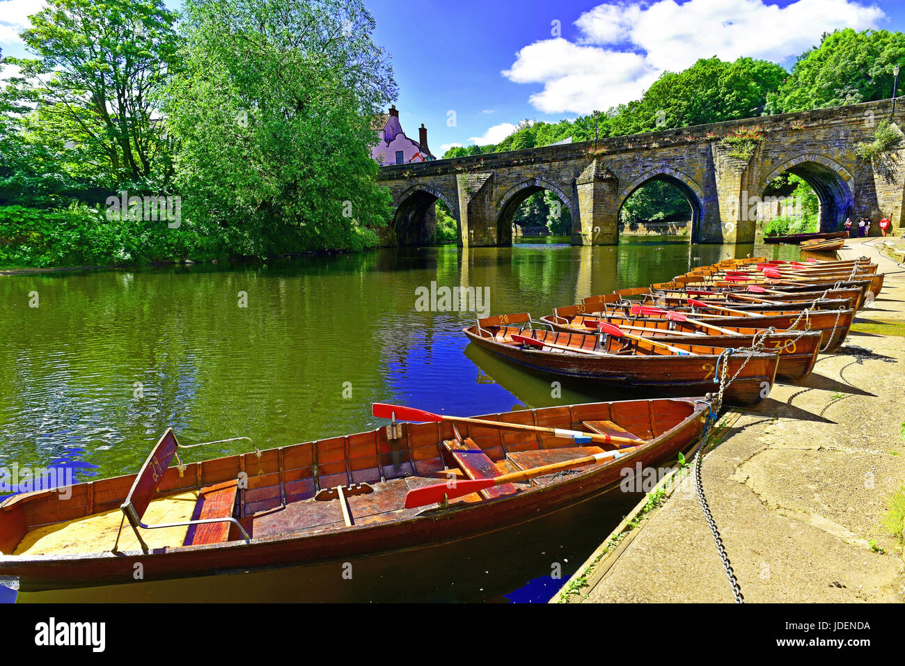 Rowing boats on river Wear Durham City Stock Photo - Alamy