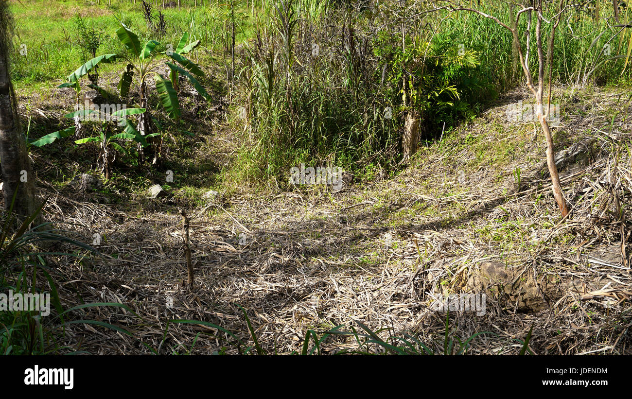 Ravine of the dead hi-res stock photography and images - Alamy