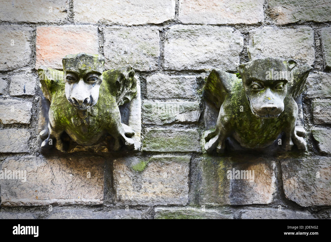 Architectual Ancient stone gargoyle on the wall in York England Stock ...