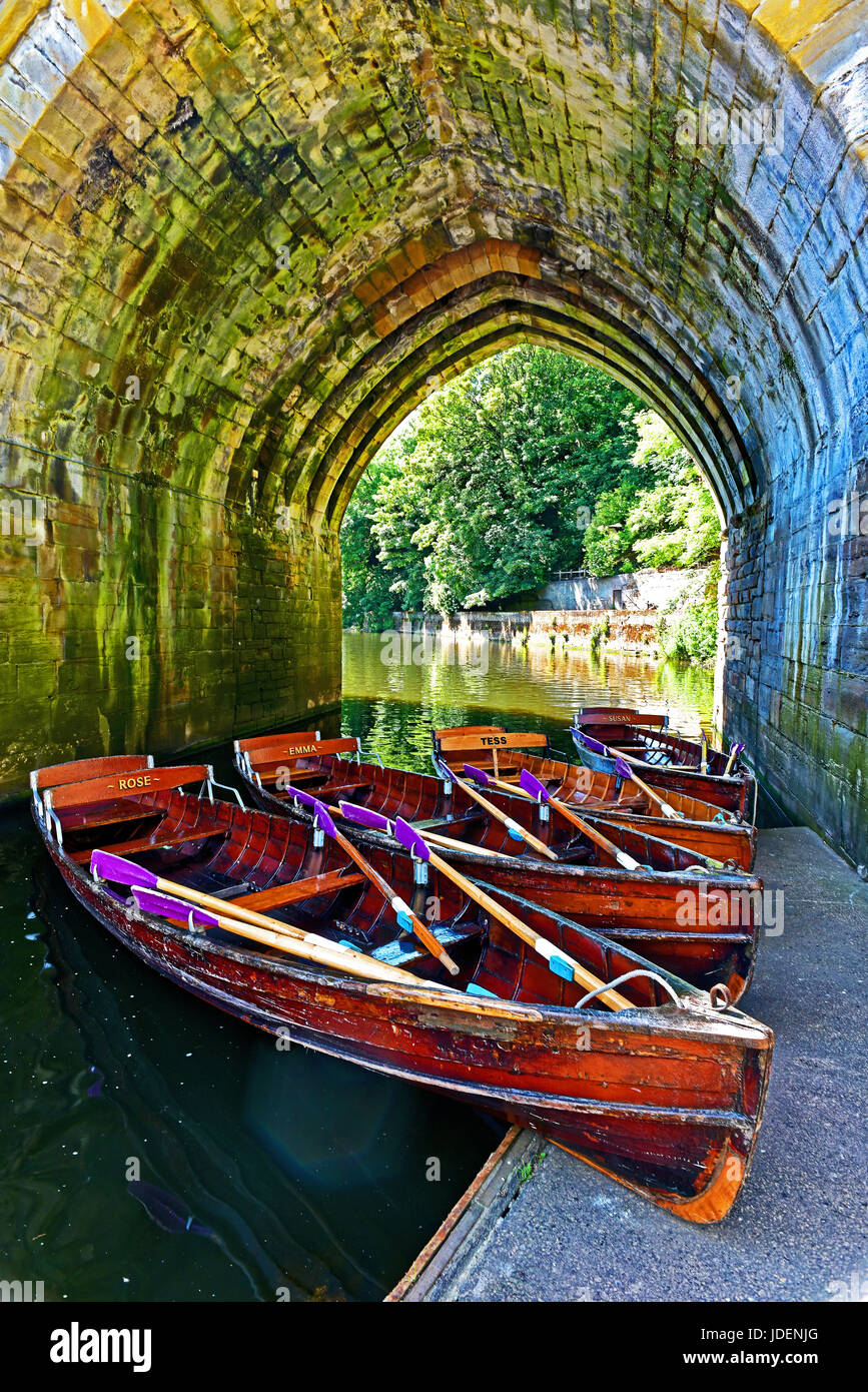 Rowing boats on river Wear Durham City Stock Photo - Alamy